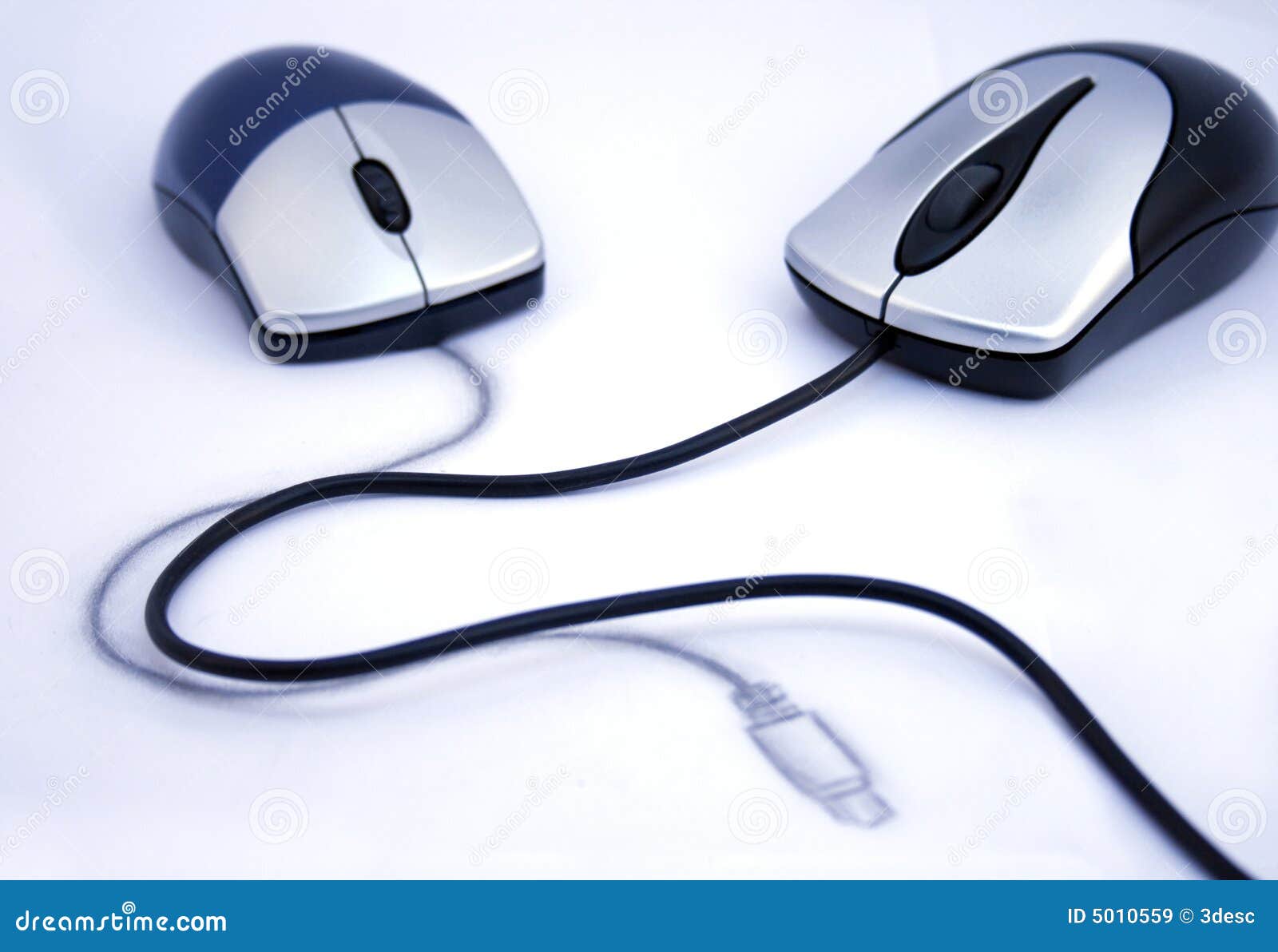 Rato do computador imagem de stock. Imagem de mostra, teia - 5010559