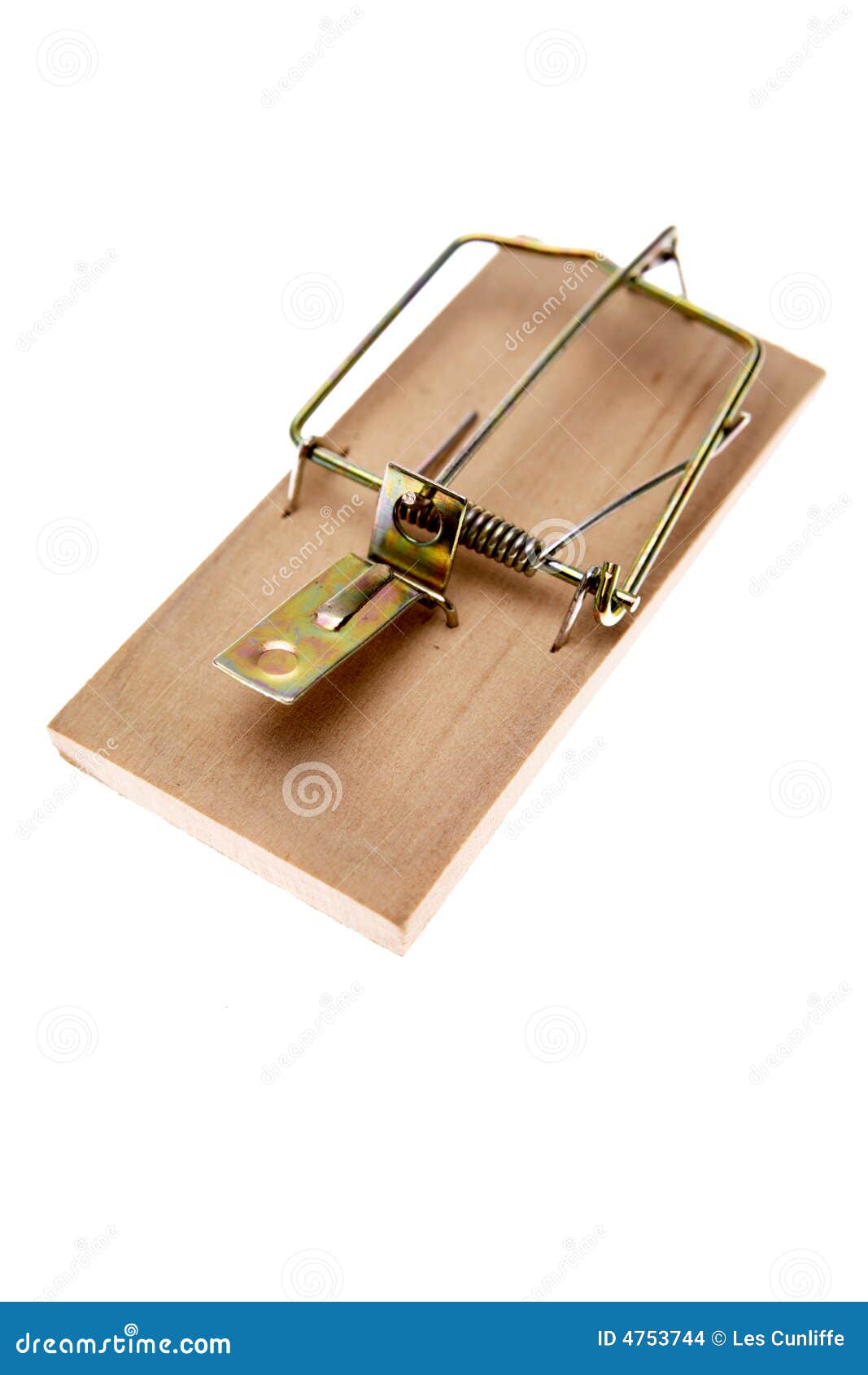 Ratonera foto de archivo. Imagen de estudio, blanco, aislado - 4753744