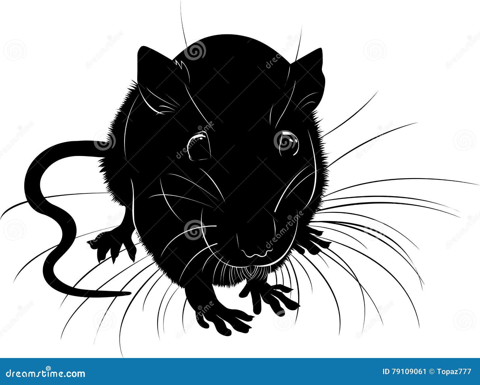 Rats Animal Vector Black Silhouette On A White Background ...