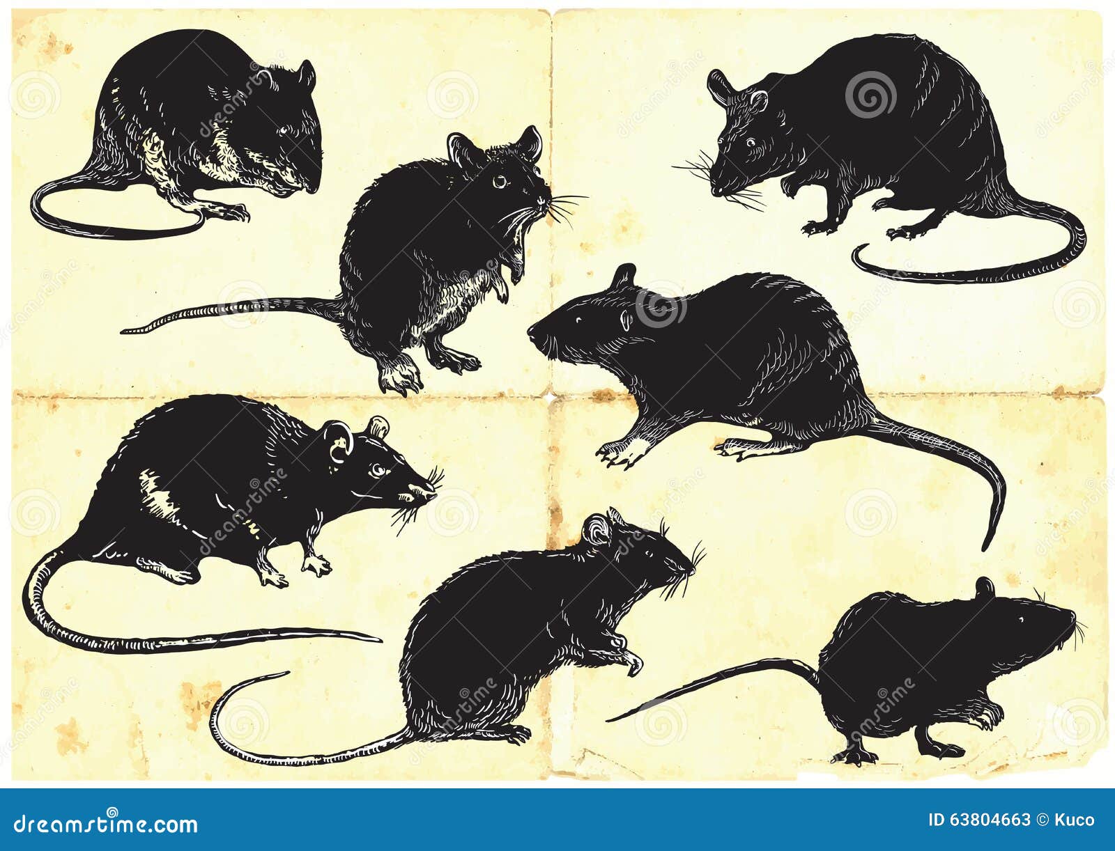 Rats Collection, Freehand Sketching, Vector Illustration Stock Vector ...