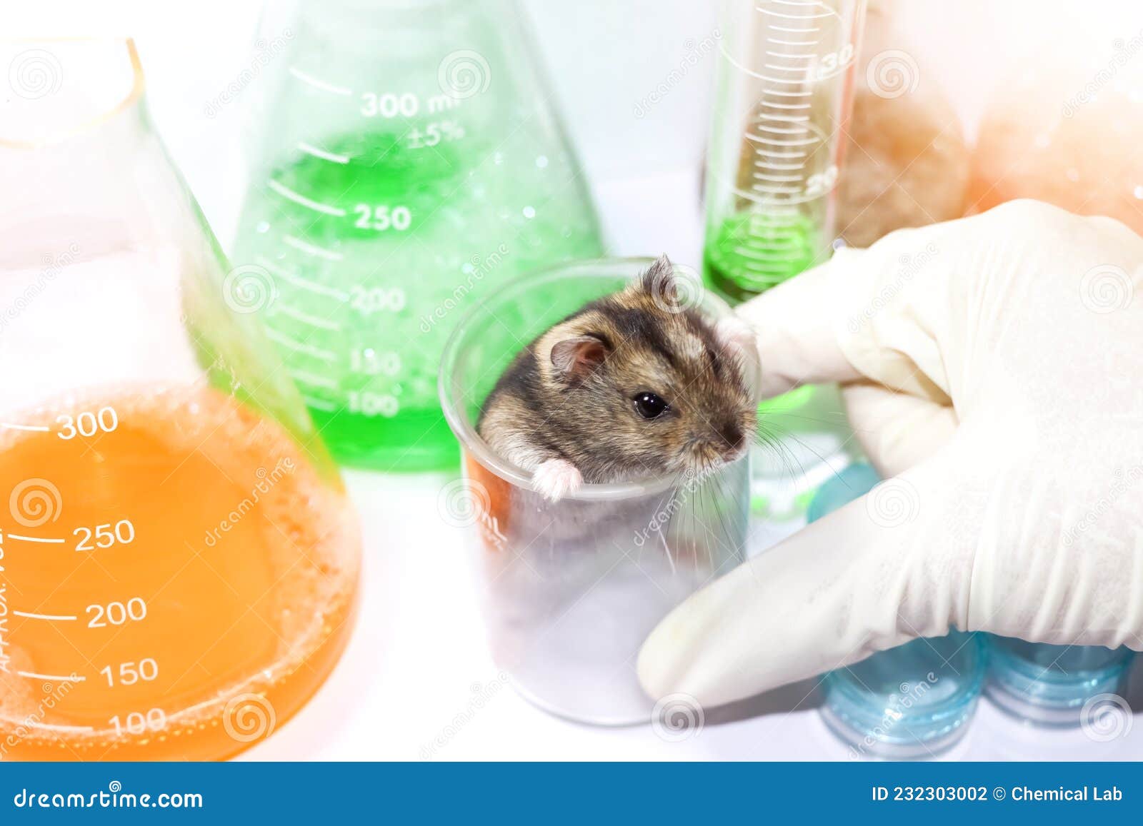 Rats in laboratory stock photo. Image of discovery, medical - 232303002