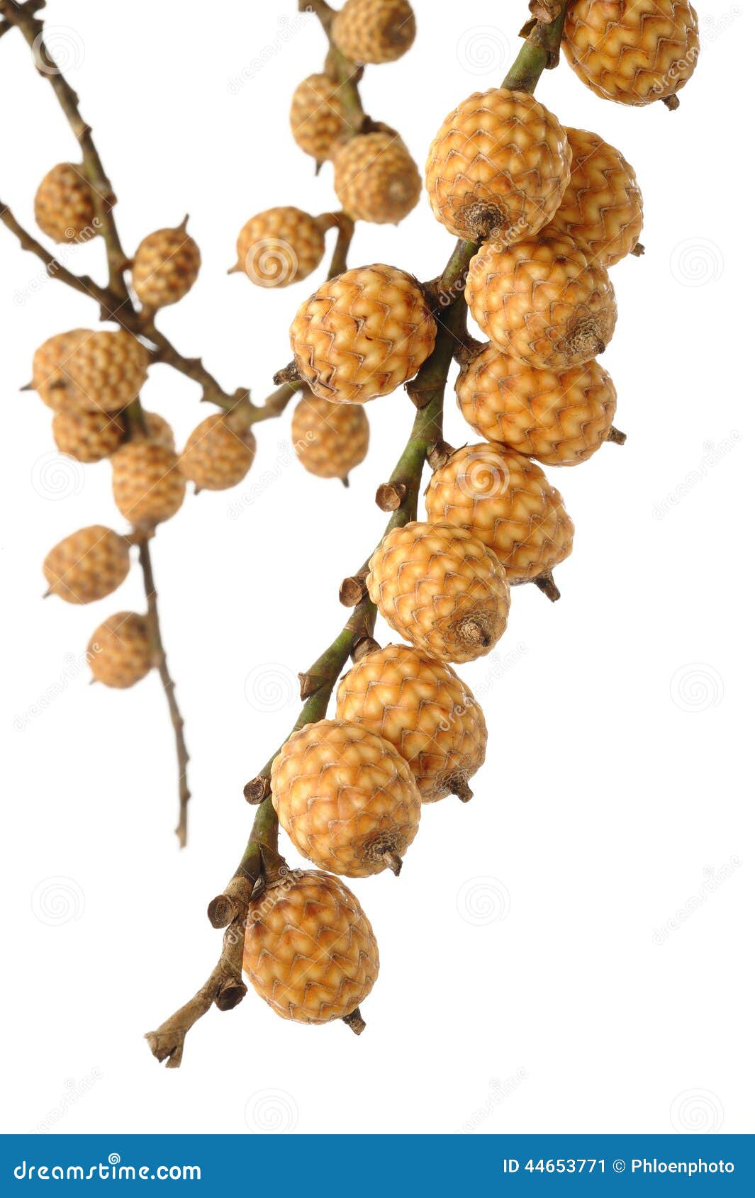 Rattan Fruit Stock Photography | CartoonDealer.com #31914236