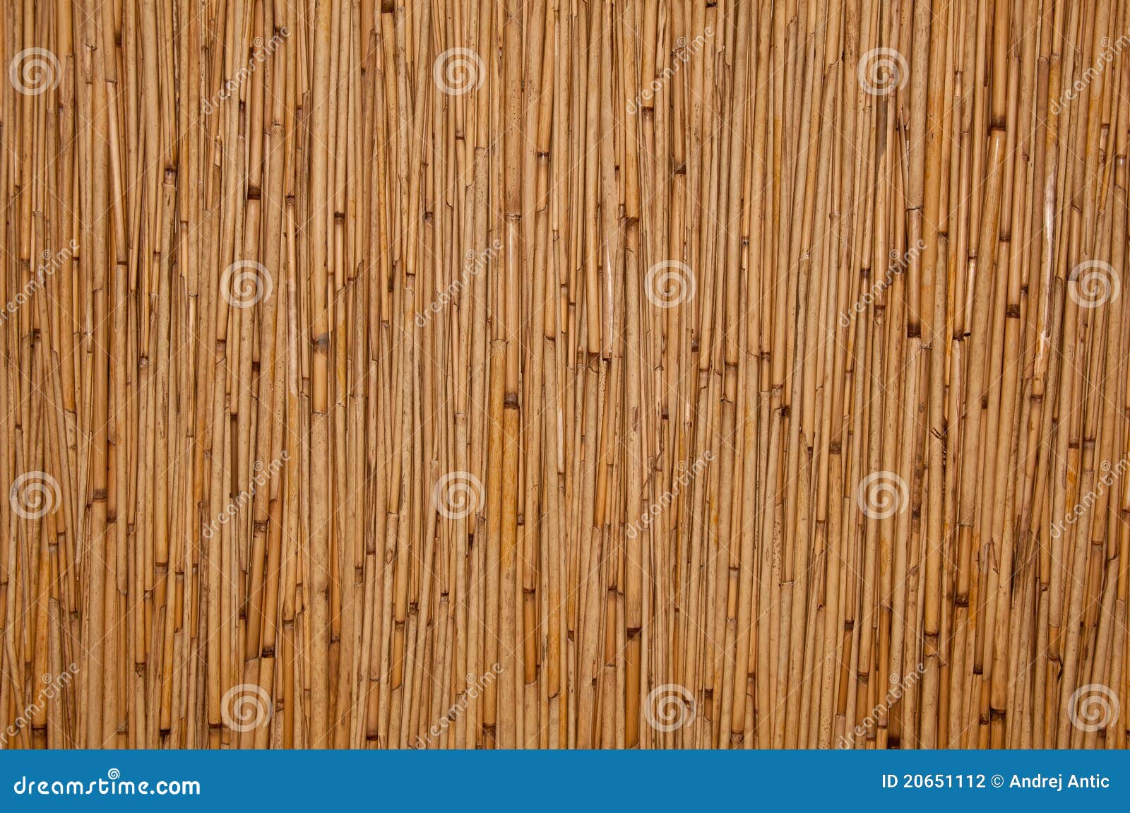 Rattan Texture From Thonet Chair Handcrafted Royalty-Free Stock Image ...
