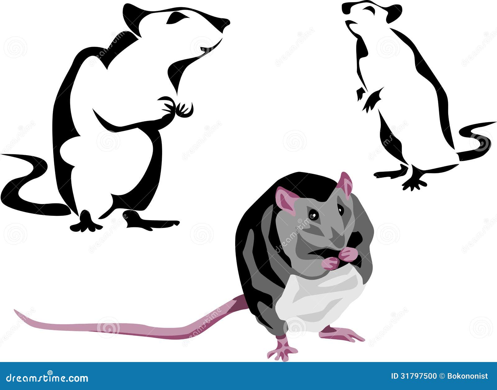 Ratte vektor abbildung. Illustration von ratte, kanalisation - 31797500