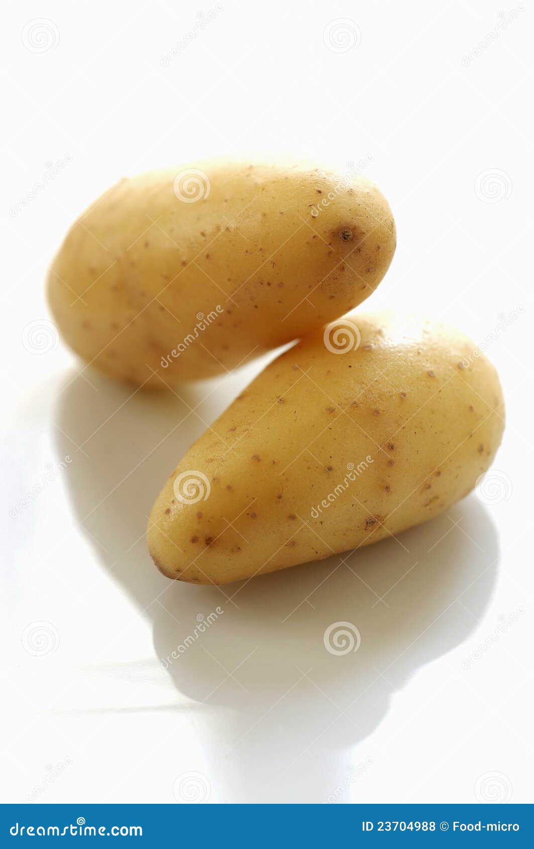 Ratte potatoes stock photo. Image of firm, classical - 23704988