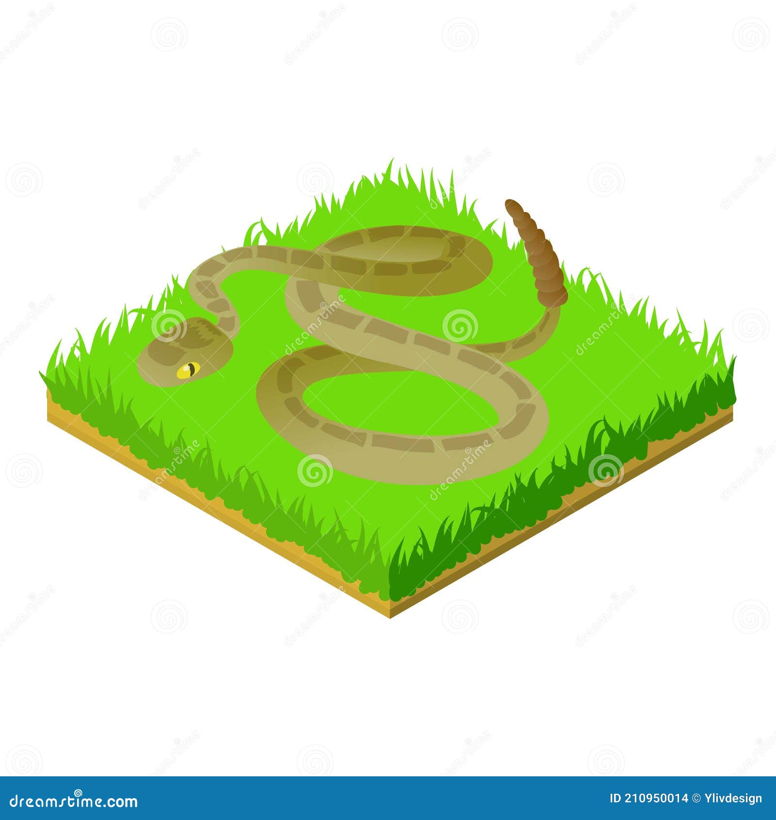 Rattlesnake Icon, Isometric Style Stock Vector - Illustration of ...