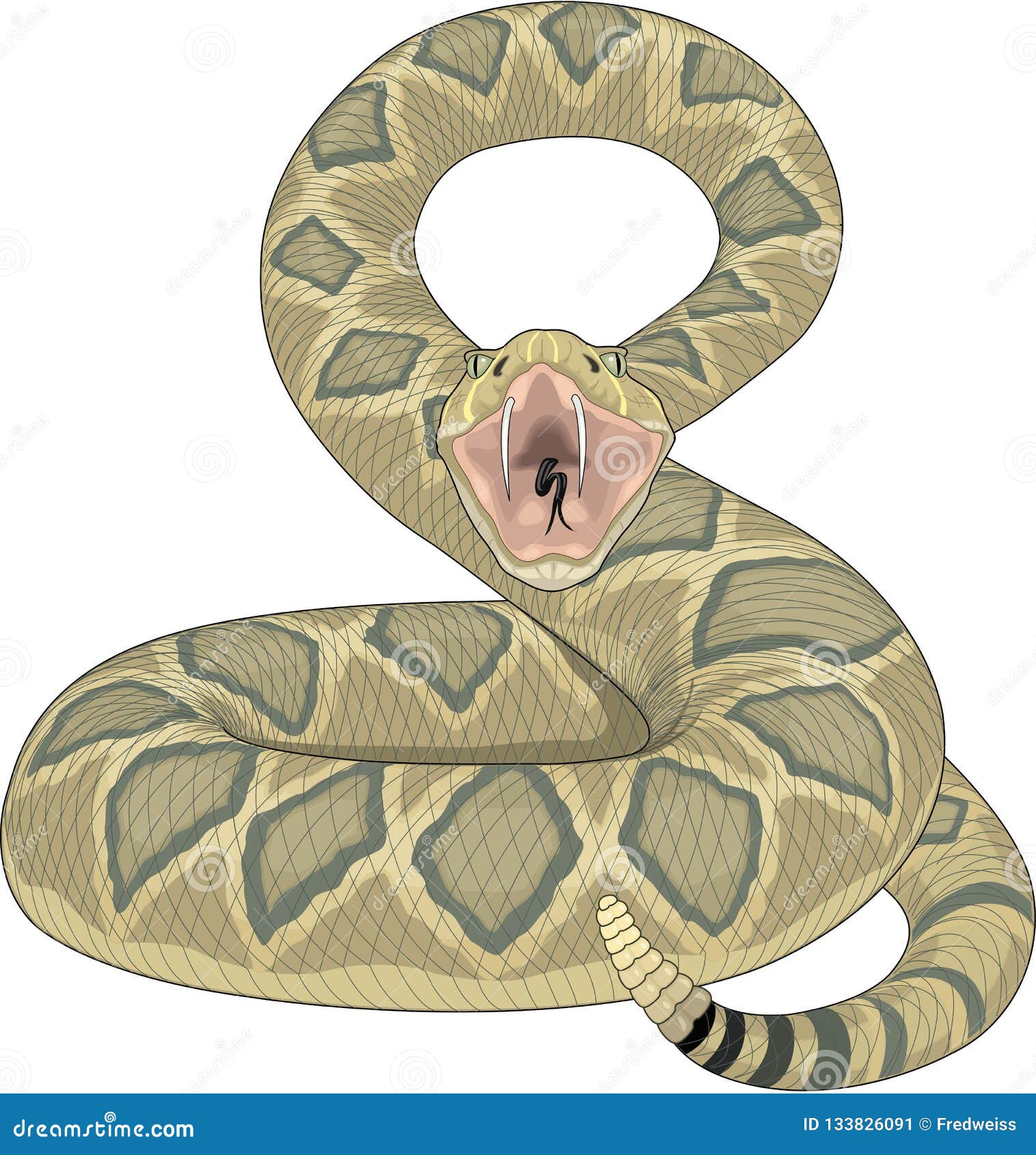 Rattlesnake Ready To Strike Illustration Stock Vector - Illustration of ... Rattlesnake Ready To Strike Illustration Stock Vector - Illustration of ...