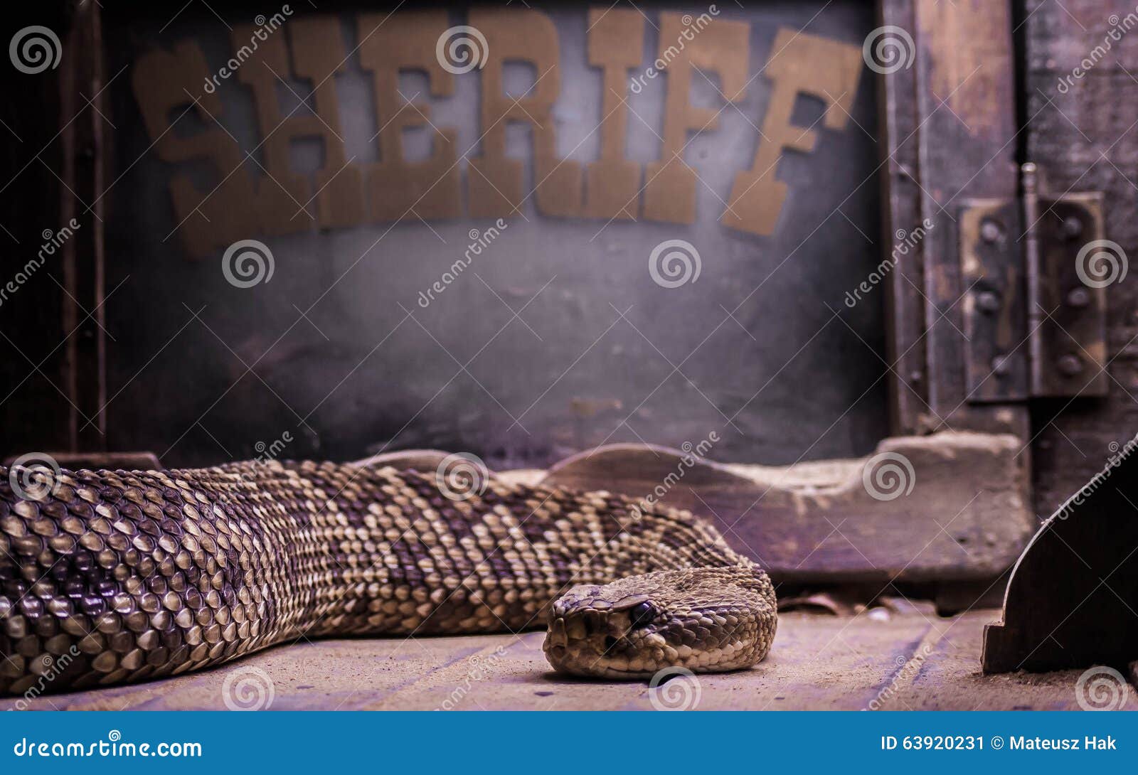 Rattlesnake sheriff stock image. Image of rattlesnake - 63920231