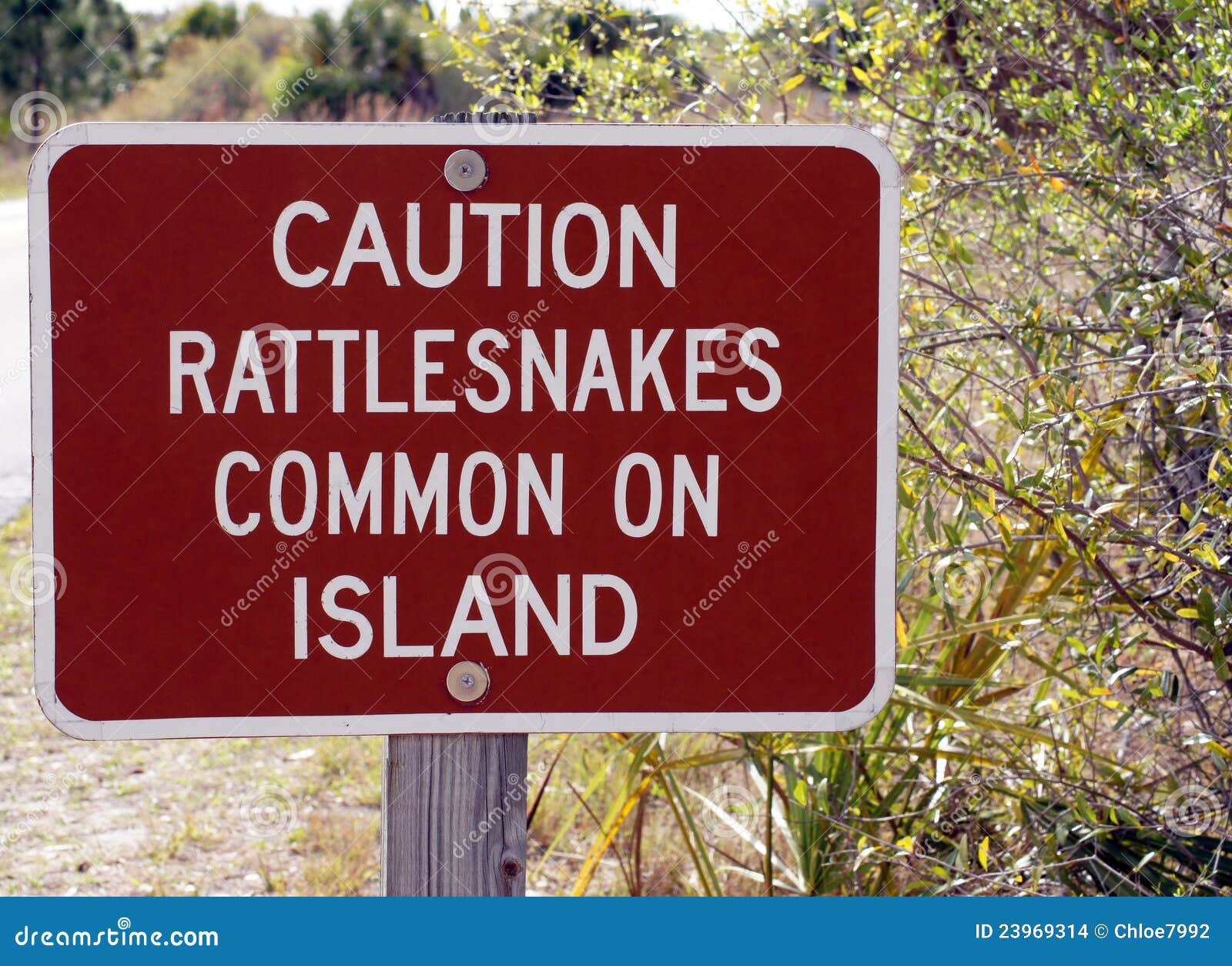 Rattlesnake warning stock photo. Image of warning, island - 23969314
