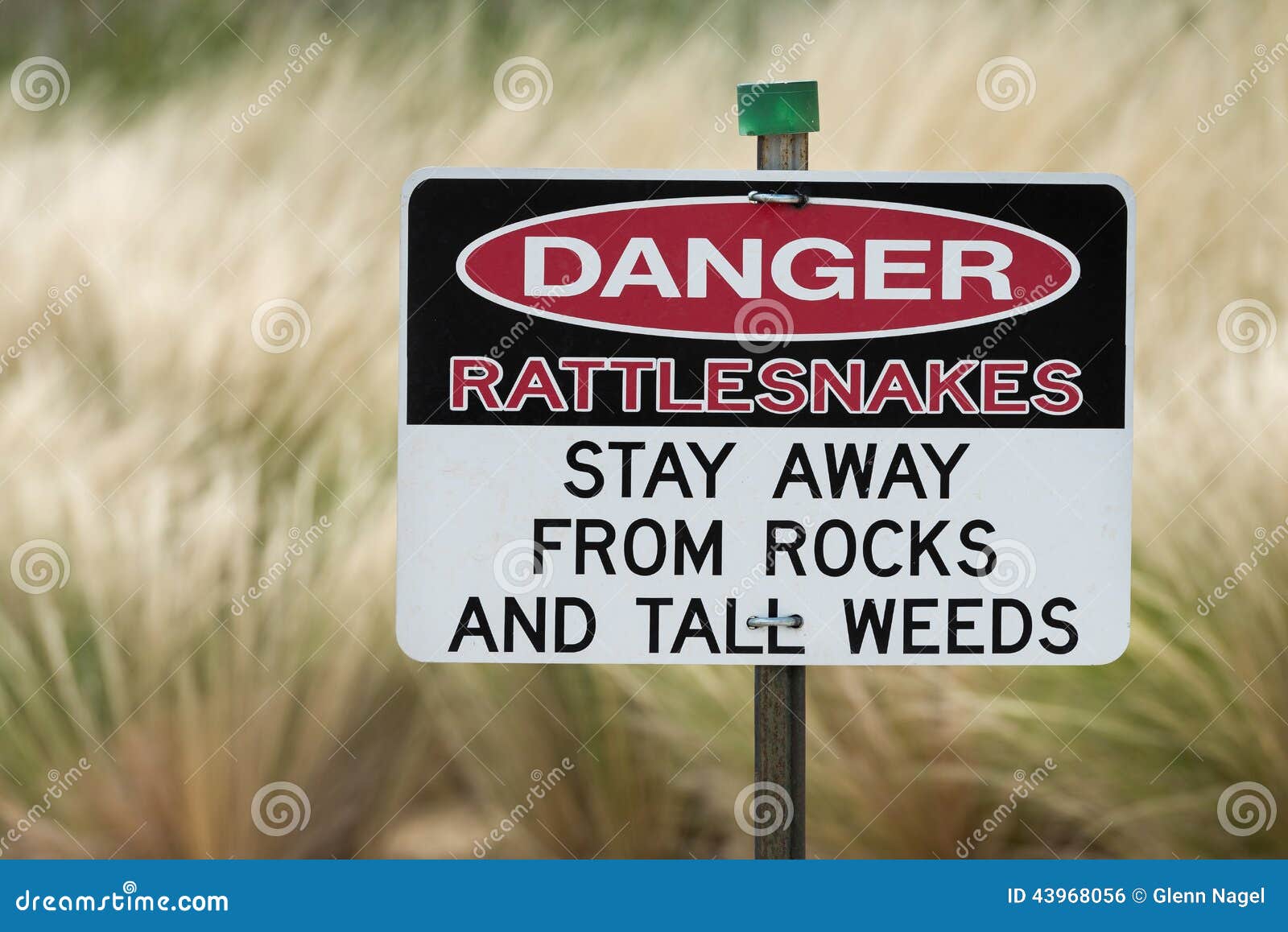 Rattlesnakes danger sign editorial photo. Image of horizontal - 43968056