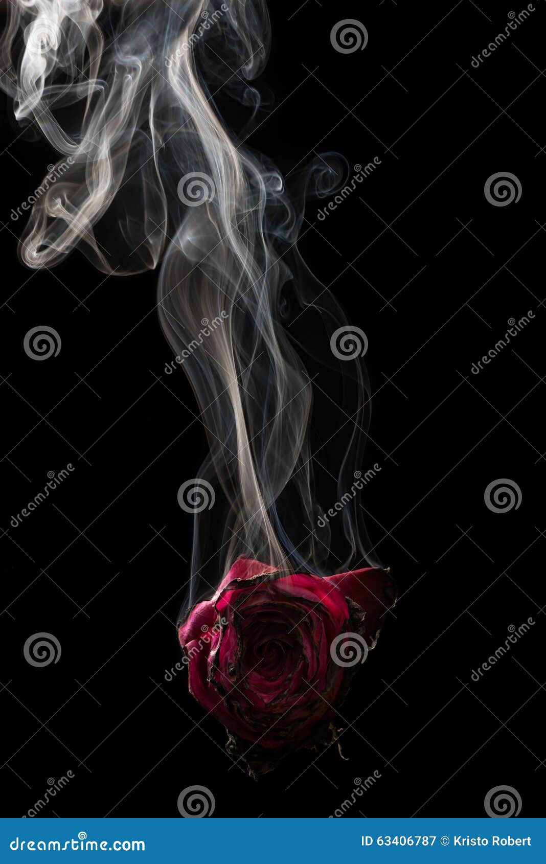 Rauch und Rose stockbild. Bild von kreativität, effekt - 63406787