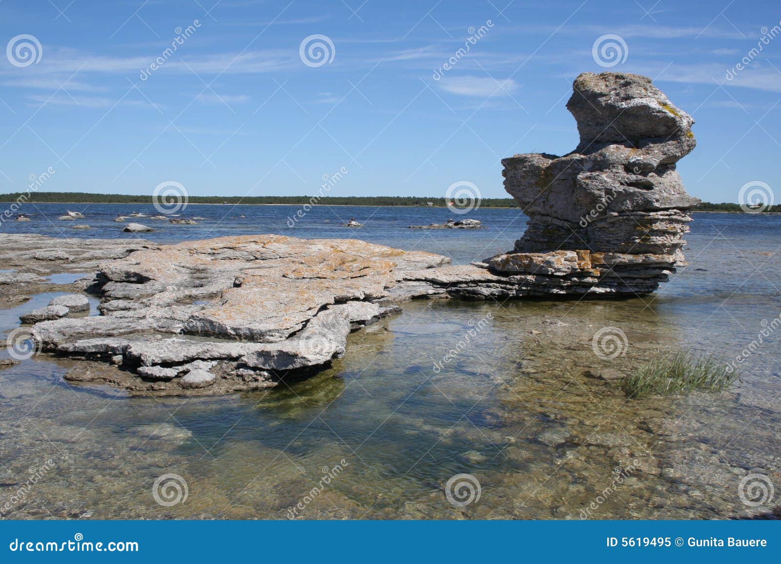 Rauk Field on the Coastline of Gotland Stock Image - Image of coast ...