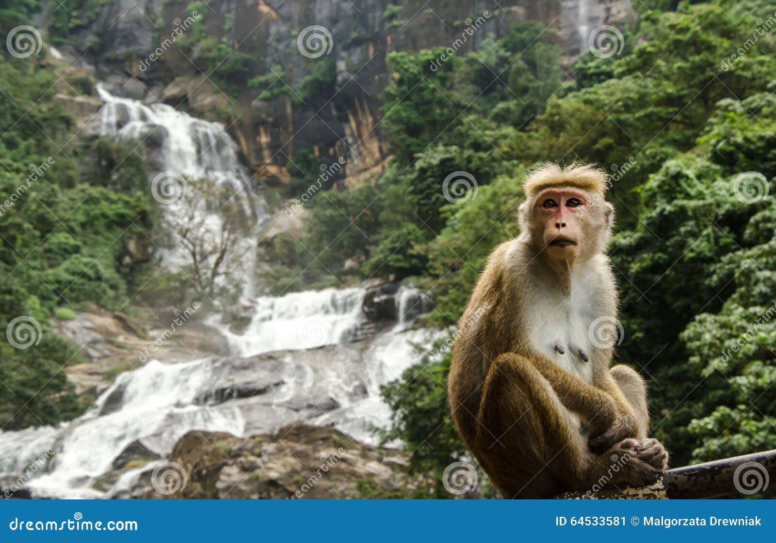 Ravana Ella Waterfall, Sri Lanka Stock Image - Image of environment ...