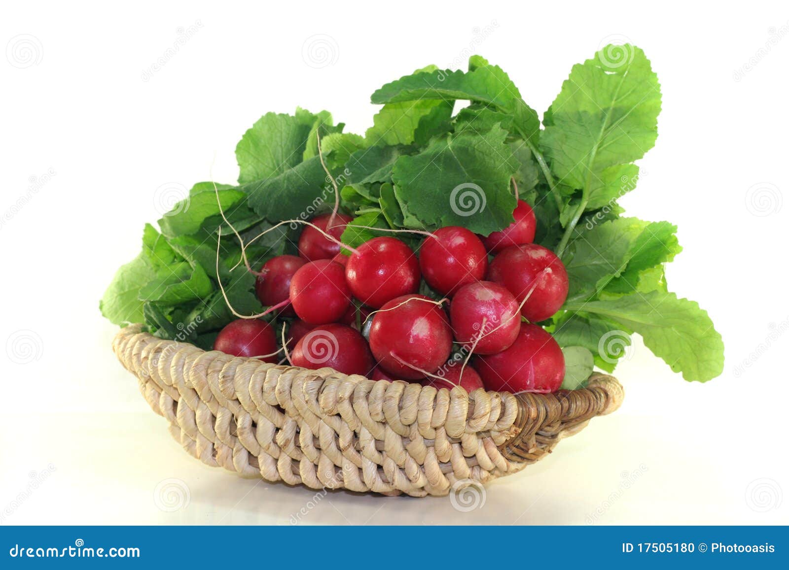 Ravanelli fotografia stock. Immagine di raccolto, bocconcino - 17505180