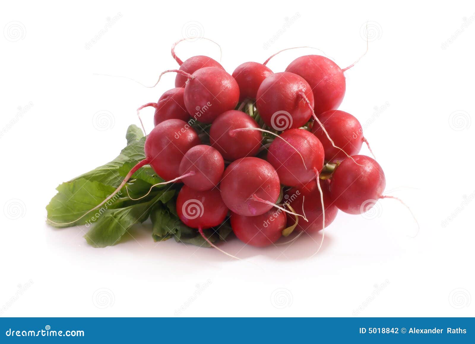 Ravanelli fotografia stock. Immagine di verdura, mazzo - 5018842