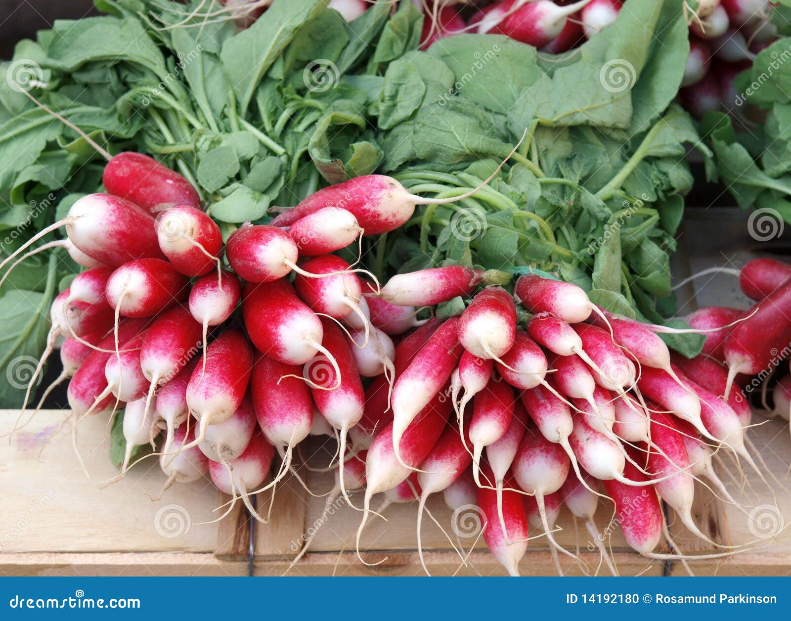 Ravanelli al servizio fotografia stock. Immagine di commestibile - 14192180