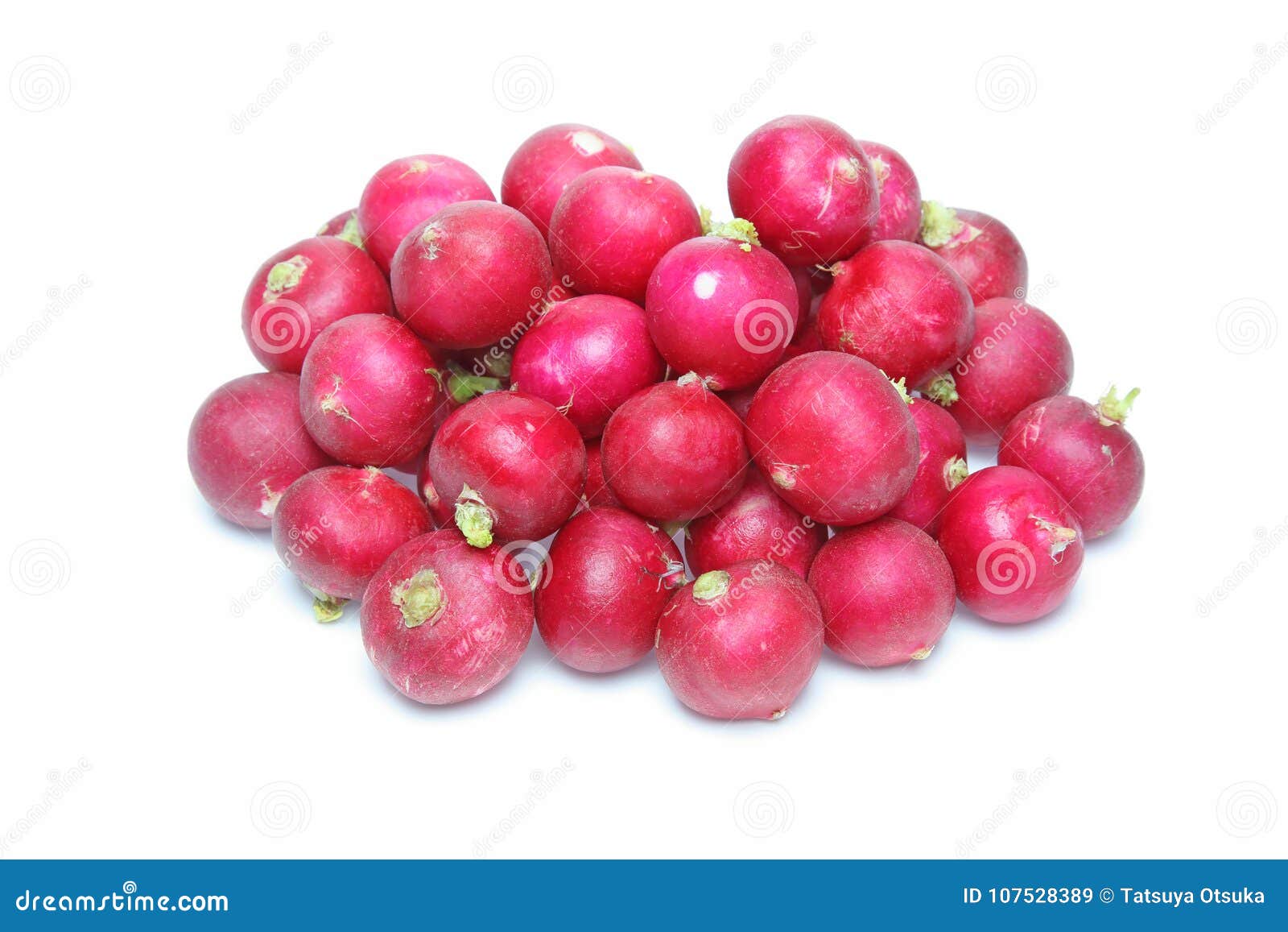 Ravanelli in Un Fondo Bianco Immagine Stock - Immagine di ravanello ...