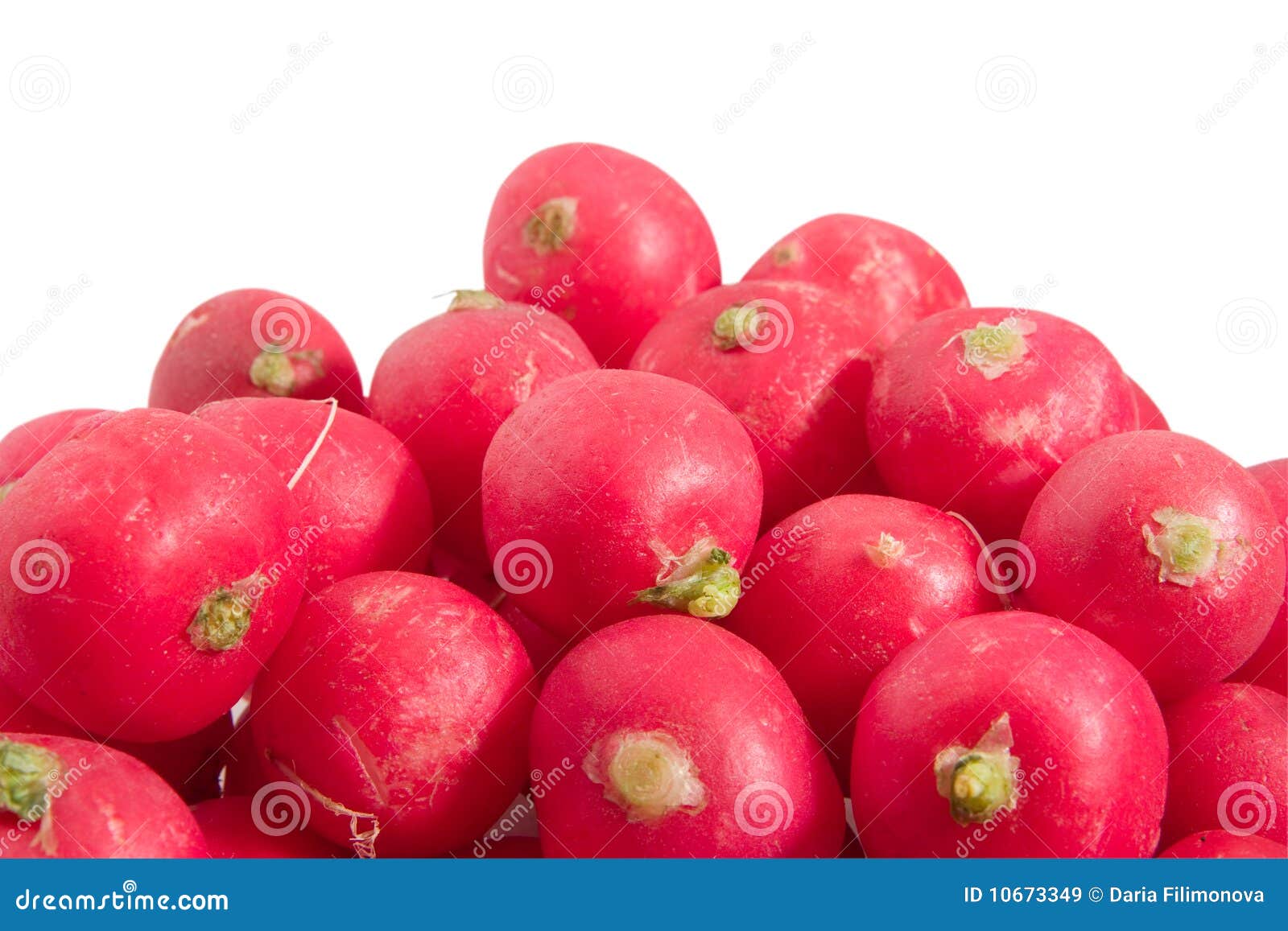 Ravanello immagine stock. Immagine di gruppo, fresco - 10673349