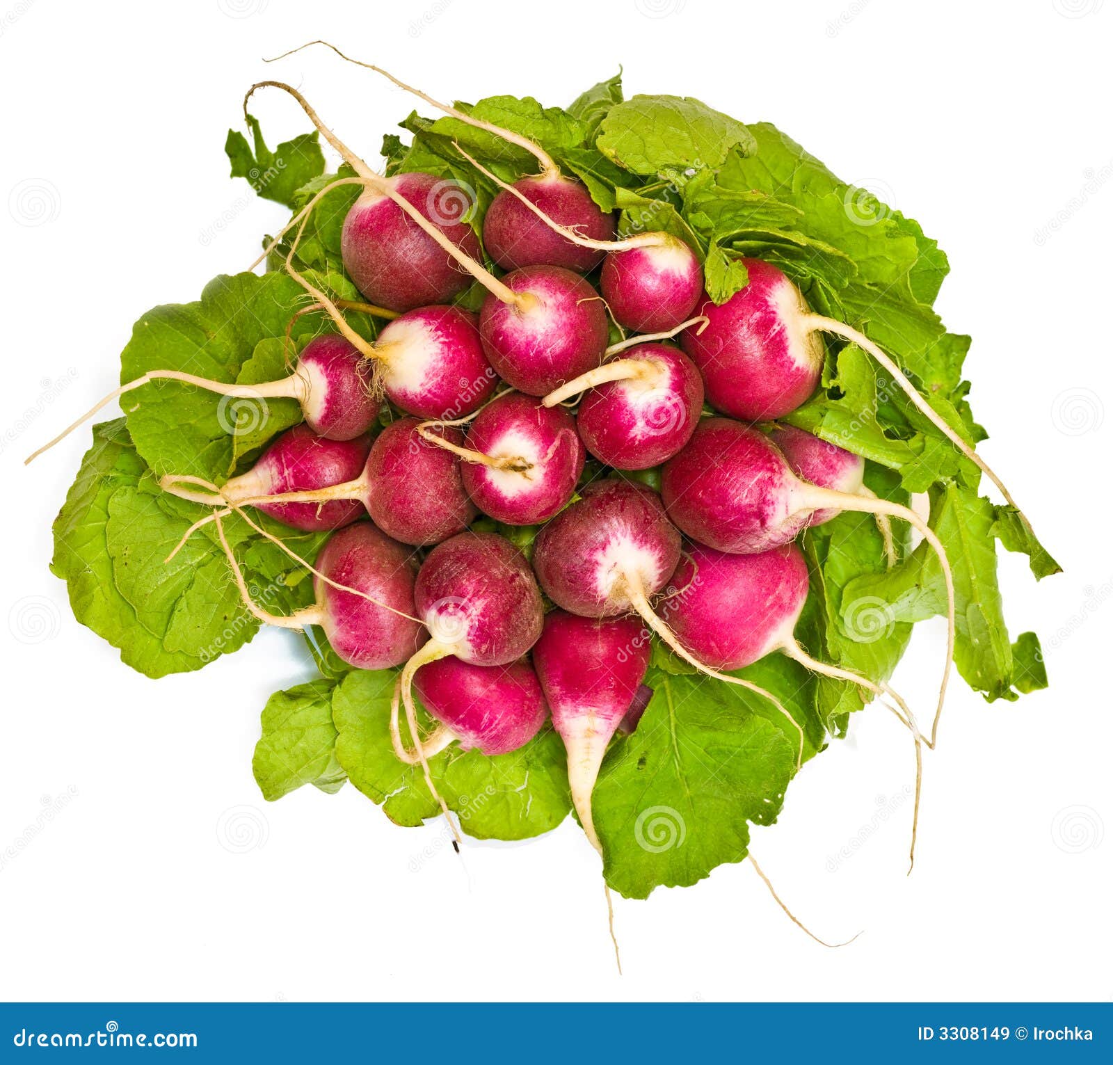 Ravanello immagine stock. Immagine di frutta, domestico - 3308149