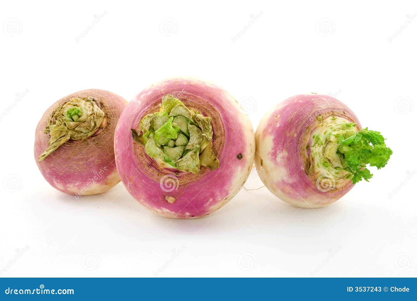 Ravanello immagine stock. Immagine di vegetariano, vitamine - 3537243