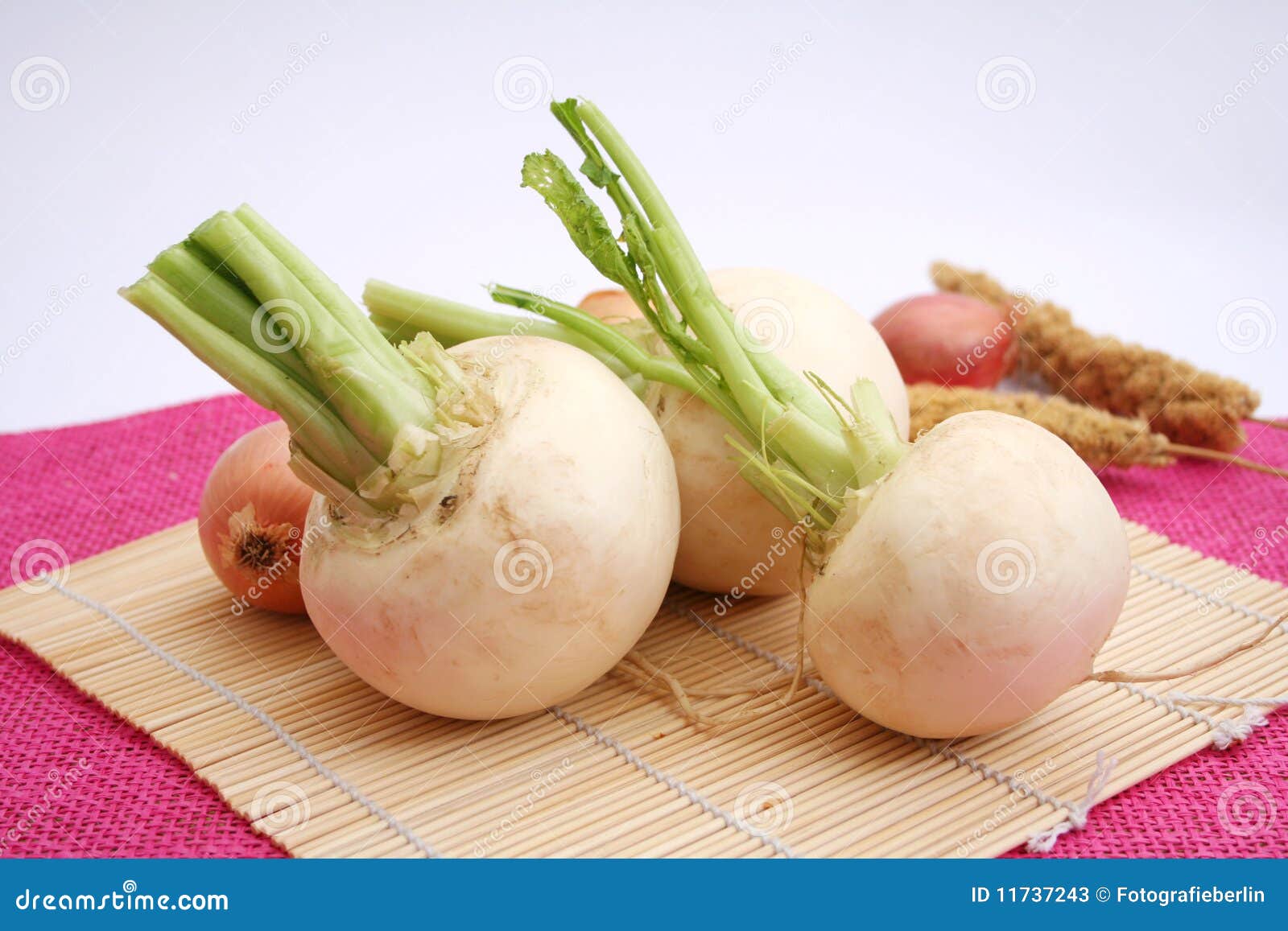 Ravanello bianco immagine stock. Immagine di insalata - 11737243