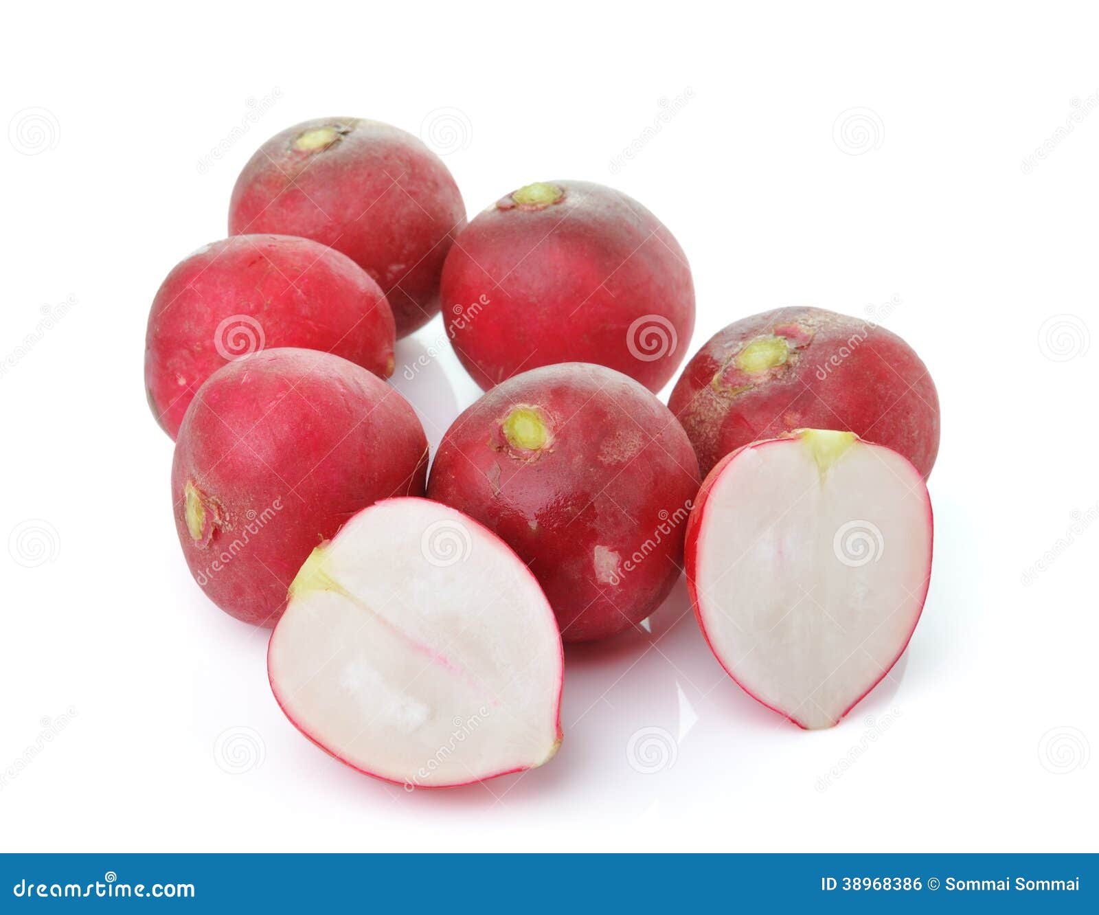 Ravanello Isolato Su Fondo Bianco Fotografia Stock - Immagine di ...