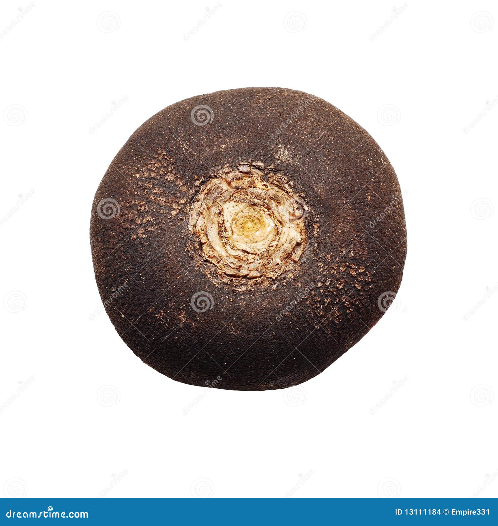 Ravanello nero fotografia stock. Immagine di sfondo, alimento - 13111184