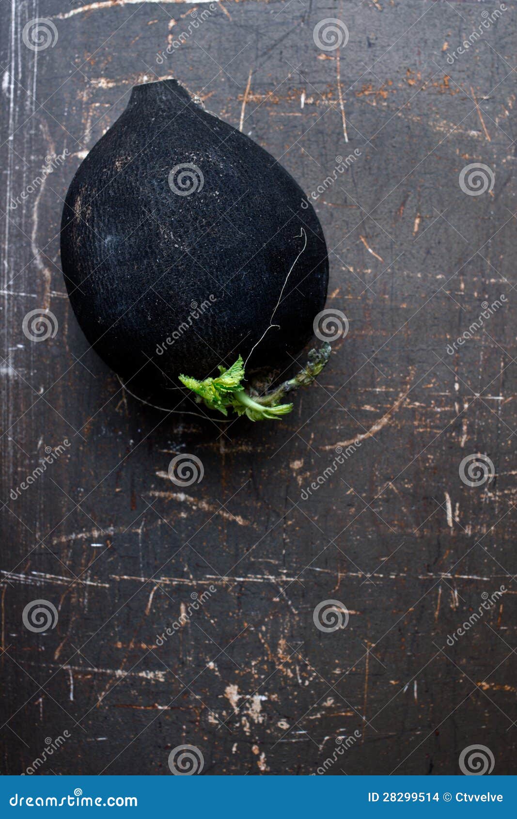 Ravanello nero fotografia stock. Immagine di pasto, insalata - 28299514