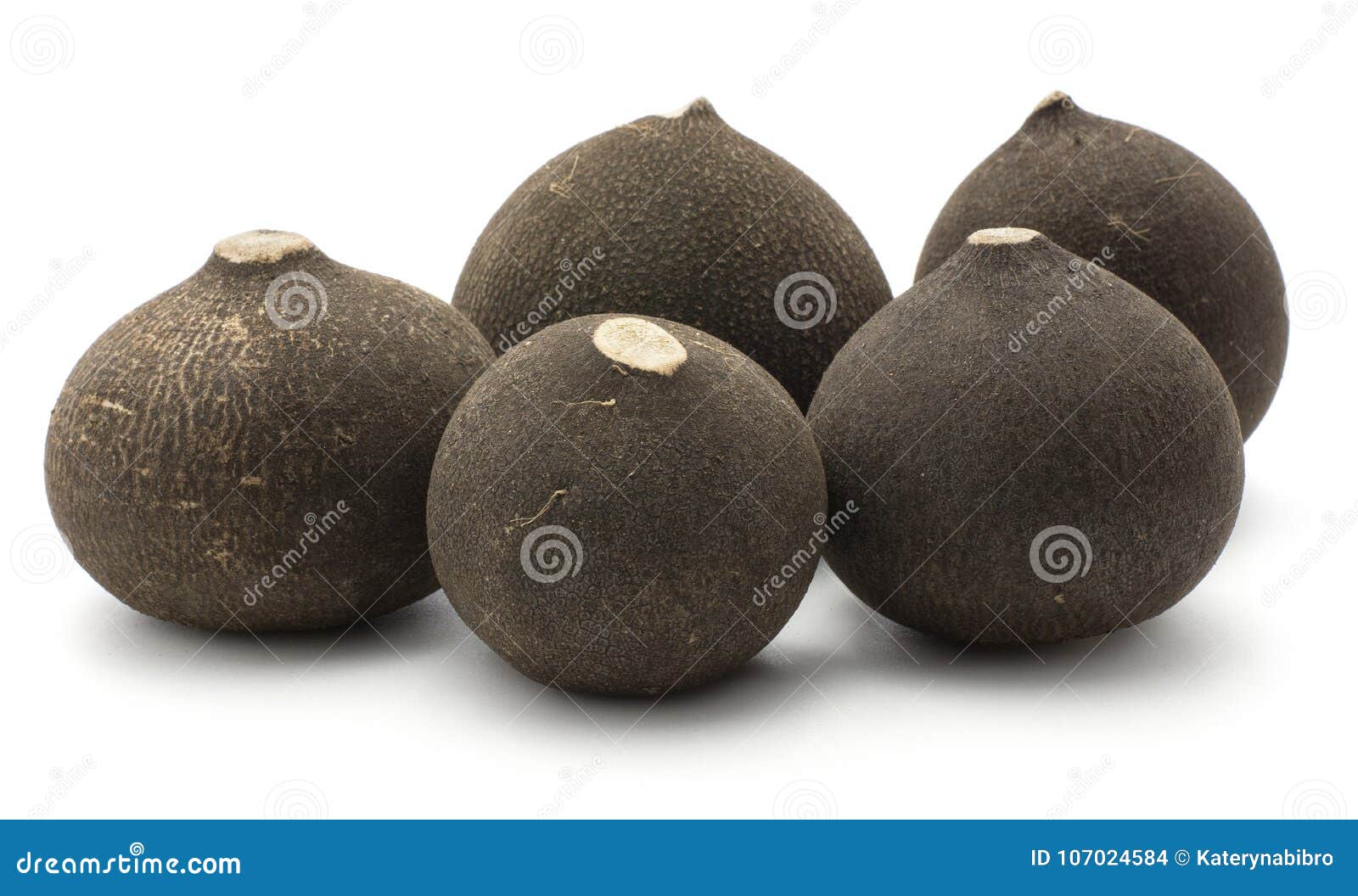 Ravanello Nero Crudo Isolato Fotografia Stock - Immagine di marrone ...