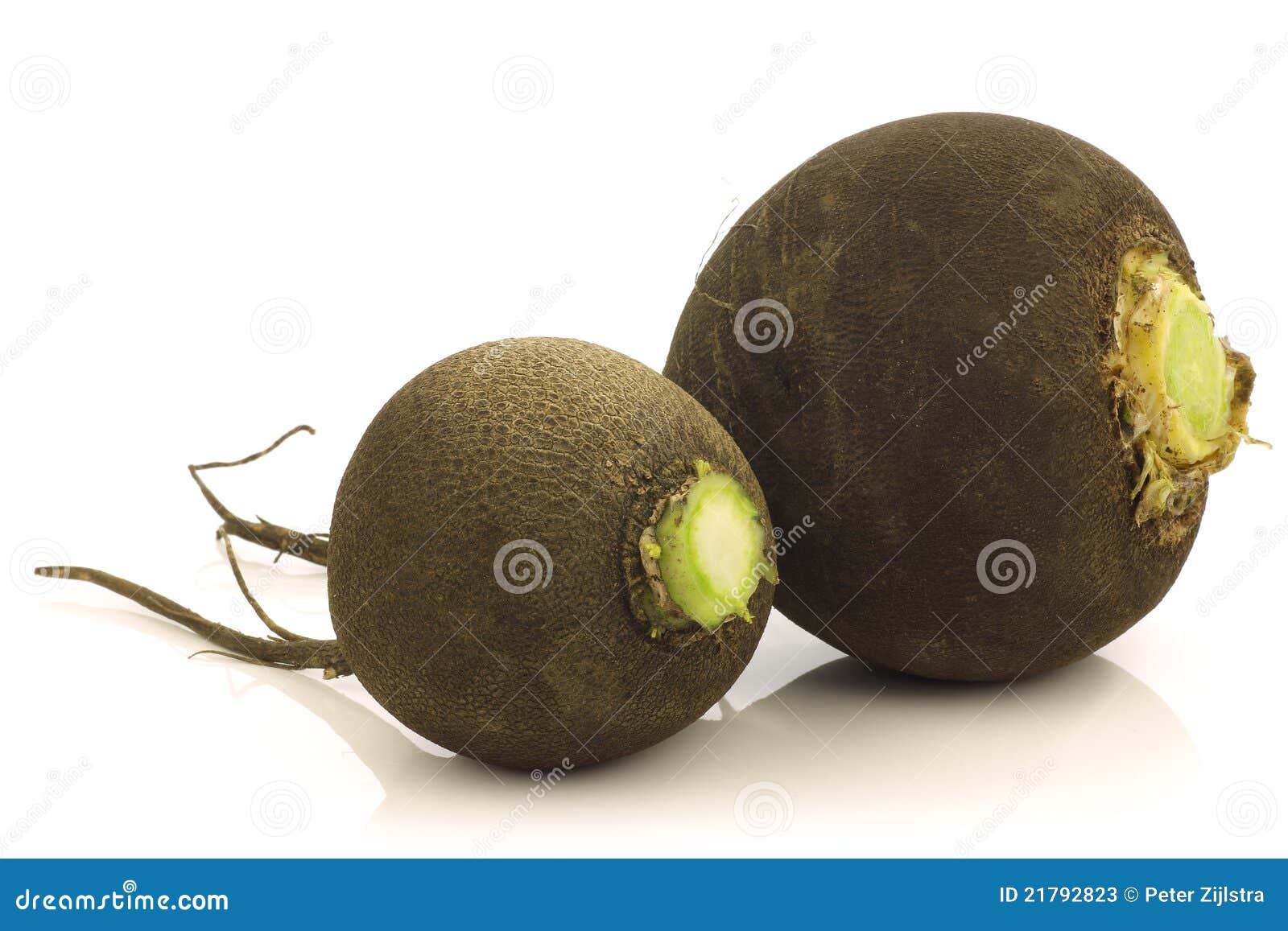 Ravanello Nero Fresco (Raphanus Niger) Immagine Stock - Immagine di ...