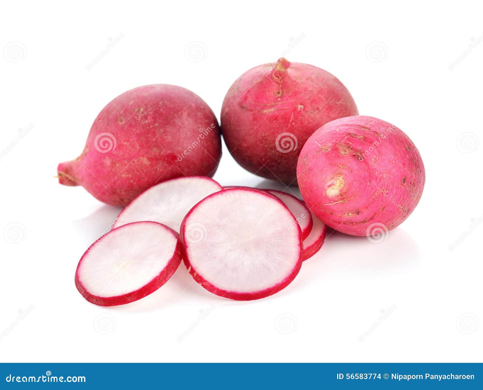 Ravanello rosso fotografia stock. Immagine di grezzo - 56583774