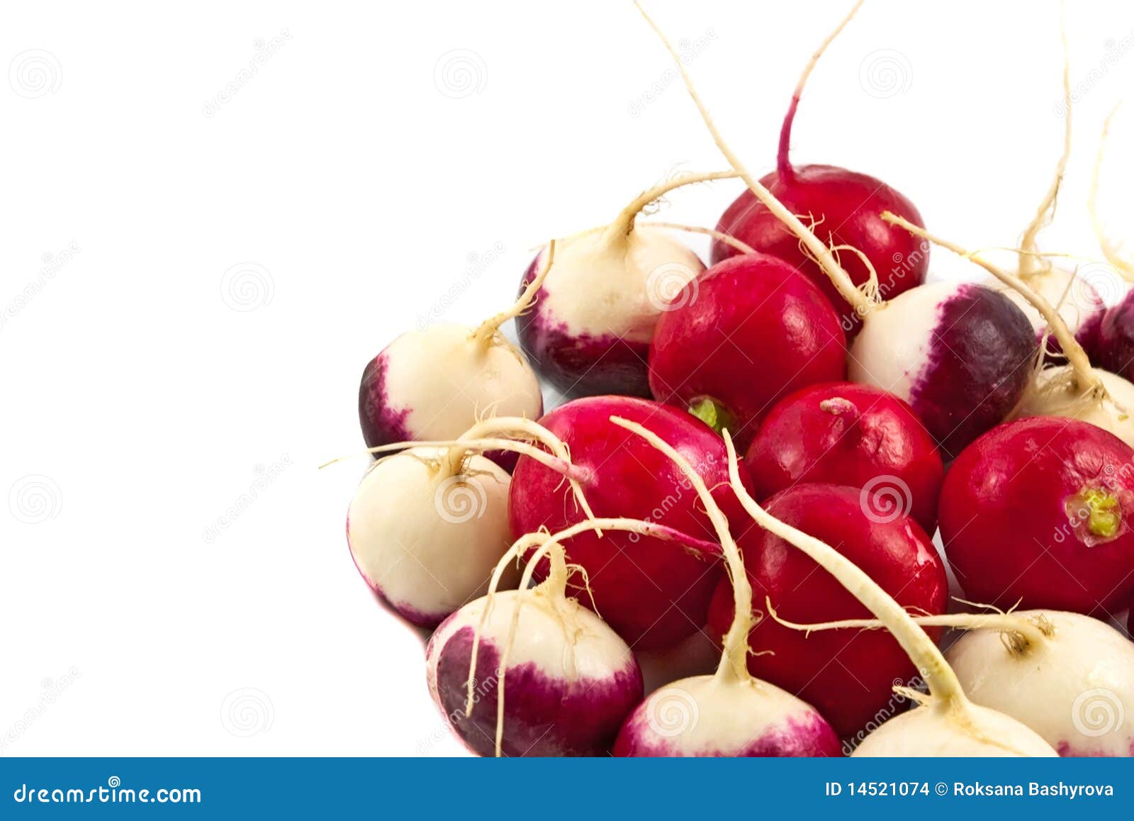 Ravanello su bianco fotografia stock. Immagine di consumo - 14521074