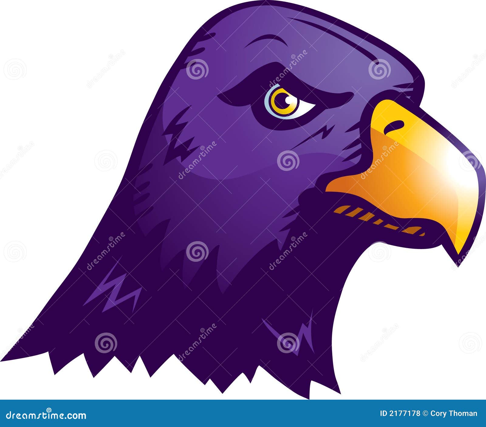 Raven stock vector. Illustration of raven, baltimore, sports - 2177178