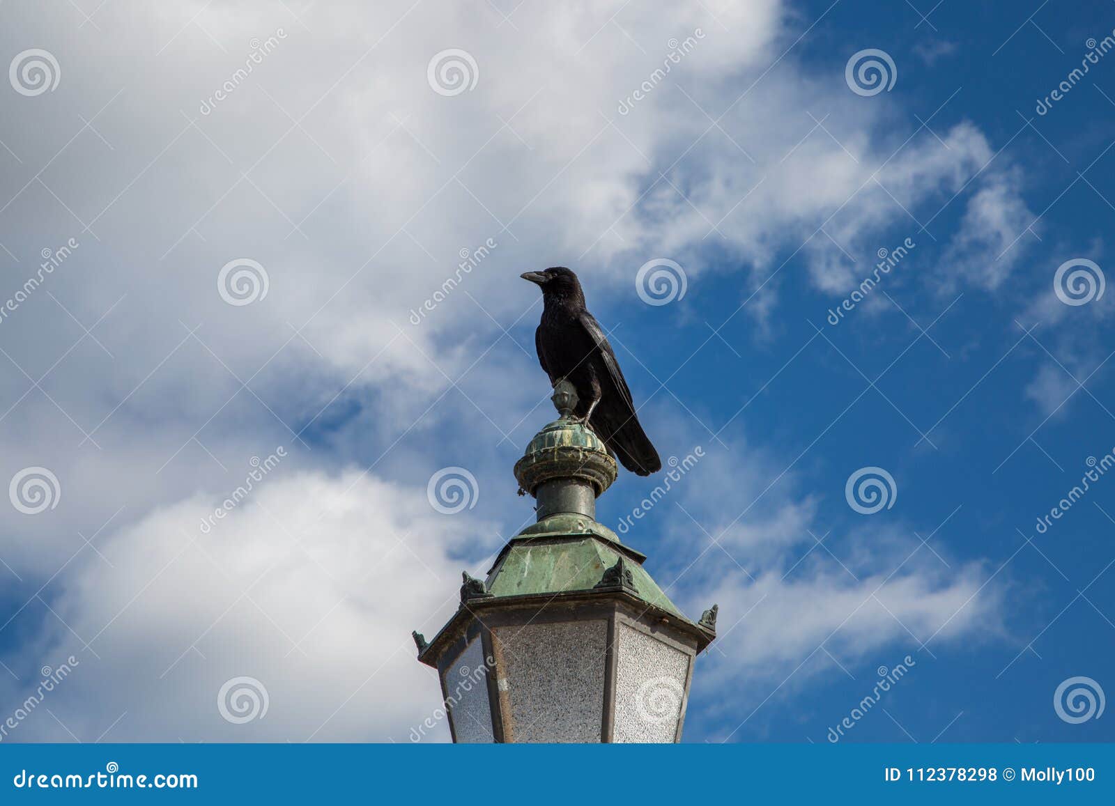 Raven also sits lantern stock photo. Image of lantern - 112378298