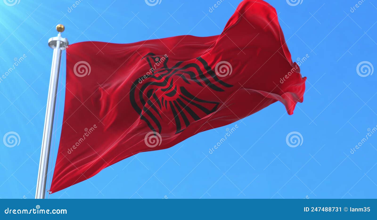 Raven Banner Flag. Loop stock video. Video of city, flagstaff - 247488731