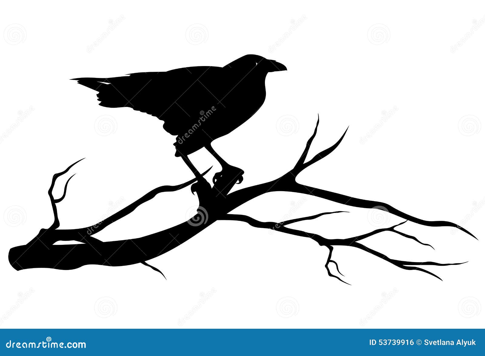 Raven bird silhouette stock vector. Illustration of creepy - 53739916 Raven bird silhouette stock vector. Illustration of creepy - 53739916