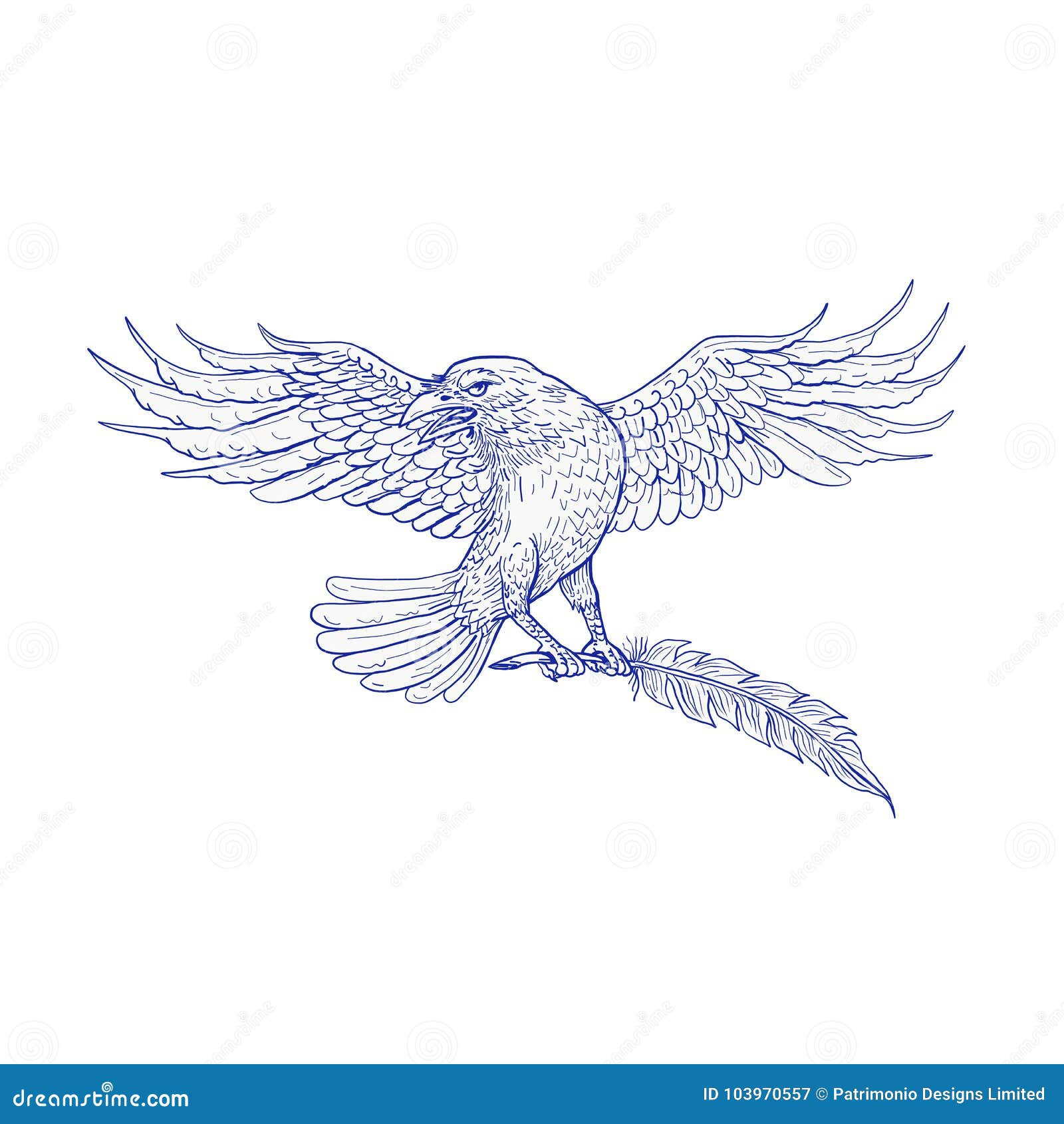 Raven Carrying Quill Drawing Illustration Stock - Illustration du ...