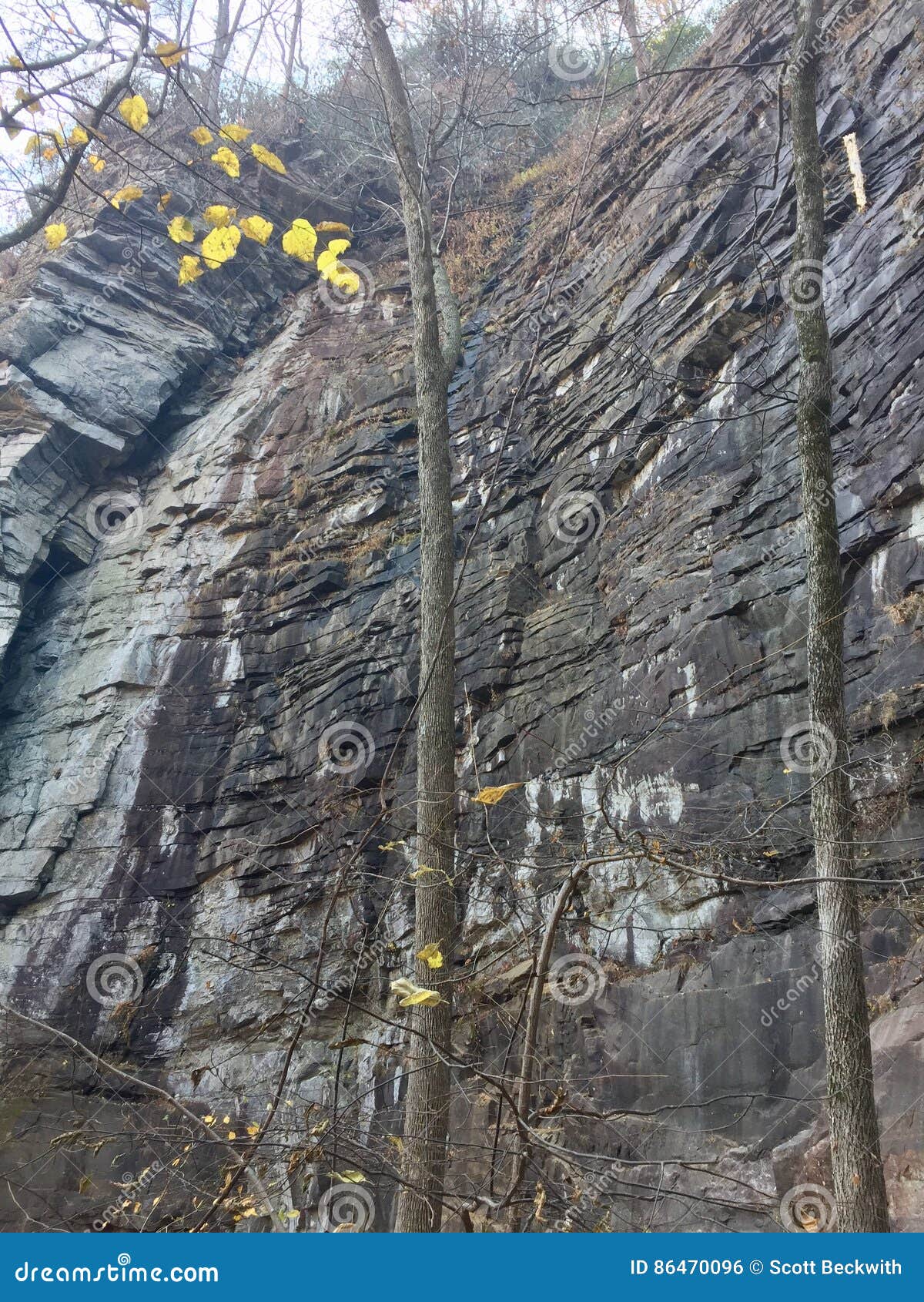 Raven Cliff-Sc stock foto. Image of sleep, klip, bergen - 86470096