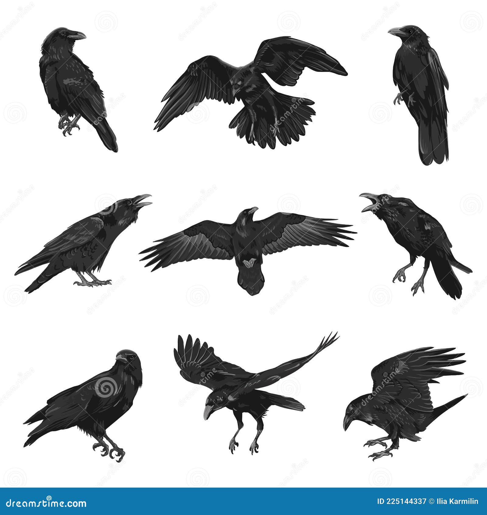 Raven Drawing High Quality Vector Illustration.Black Raven.Crow. Stock ... Raven Drawing High Quality Vector Illustration.Black Raven.Crow. Stock ...