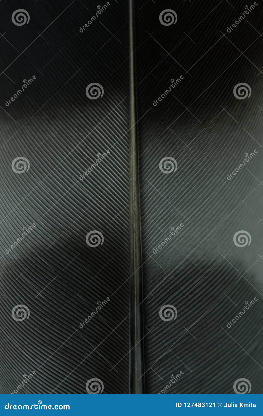 Raven feather texture stock image. Image of detail, texture - 127483121