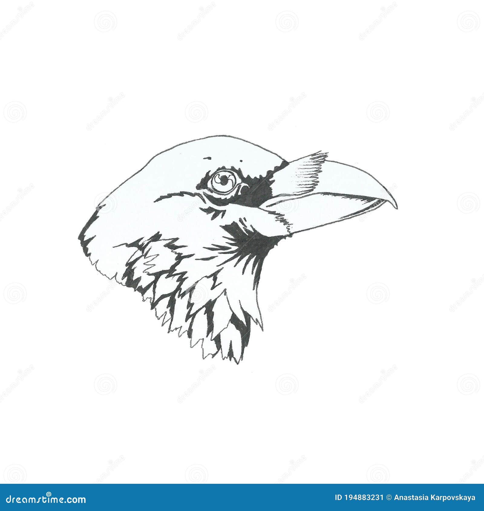 Raven Head Made with Black Liner Stock Image - Image of crow, graphics ...