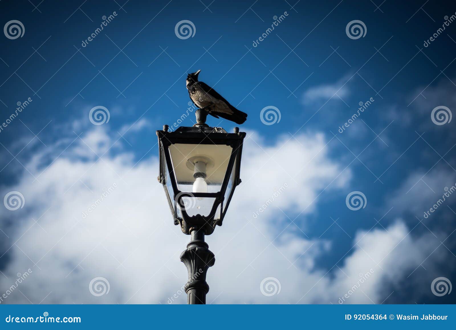 Raven stock photo. Image of nikon, cloud, post, clouds - 92054364
