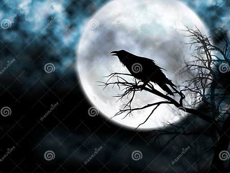 Raven on the Night Sky stock photo. Image of moon, black - 27148410