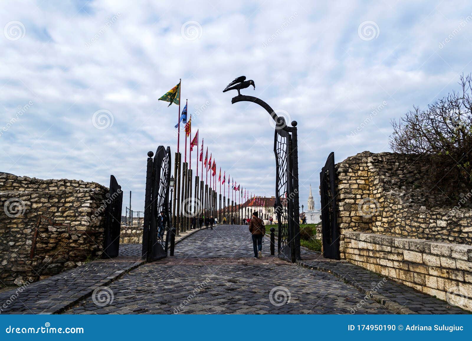 The raven with ring editorial image. Image of crow, hungarian - 174950190