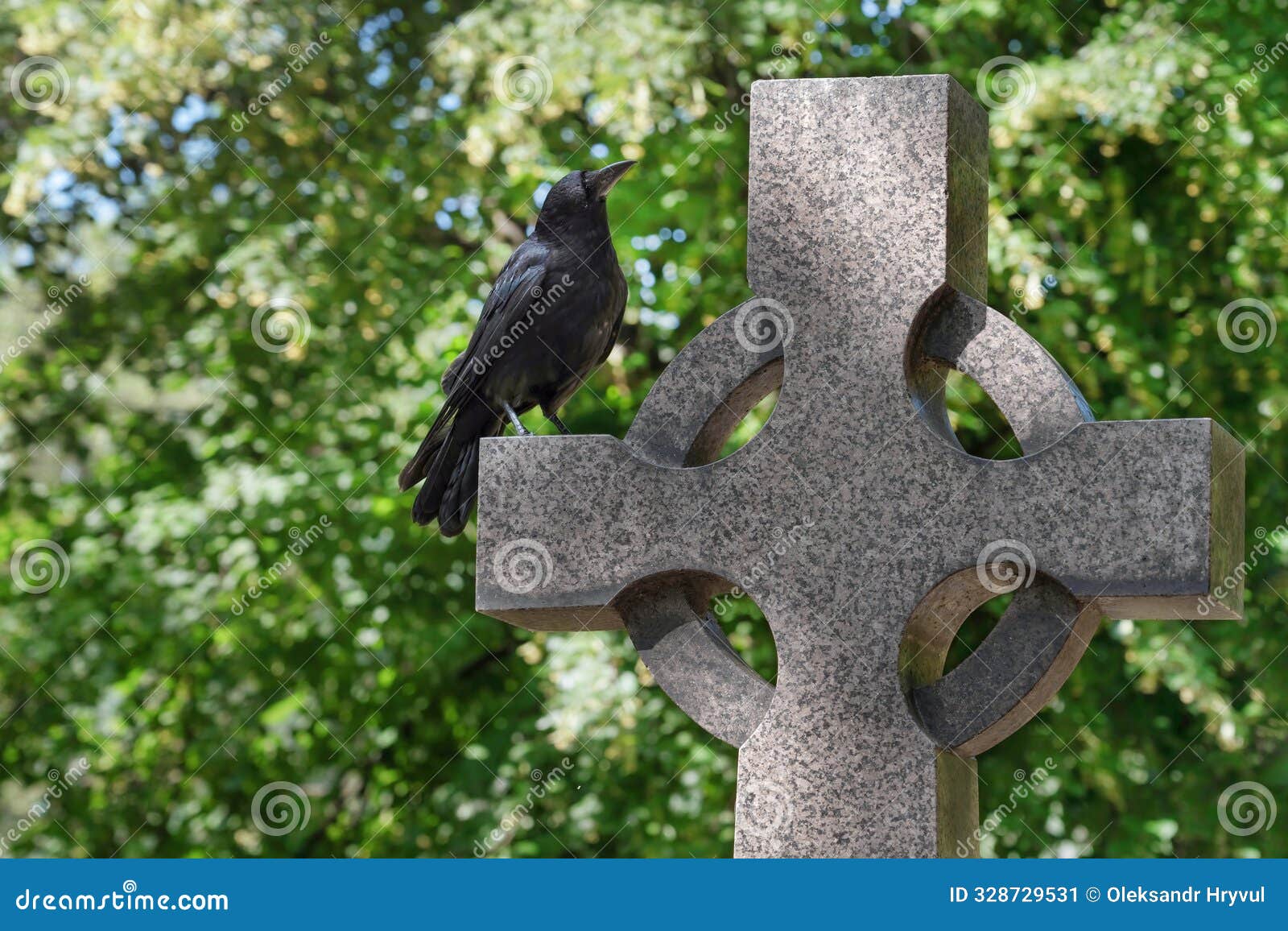 A Raven Sits on the Arm of a Celtic Cross Stock Image - Image of bird ...