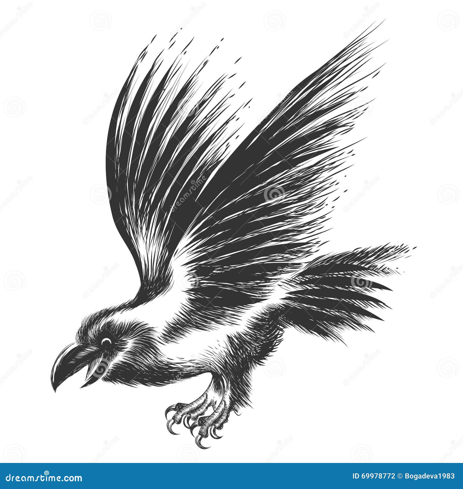 Raven Sketch vektor abbildung. Illustration von künstlerisch - 69978772