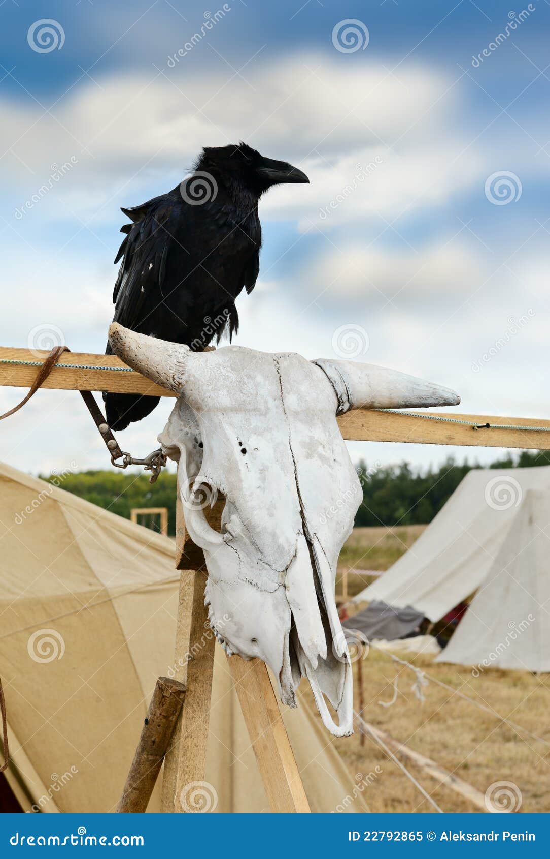 Raven and skull editorial image. Image of shock, skeletal - 22792865