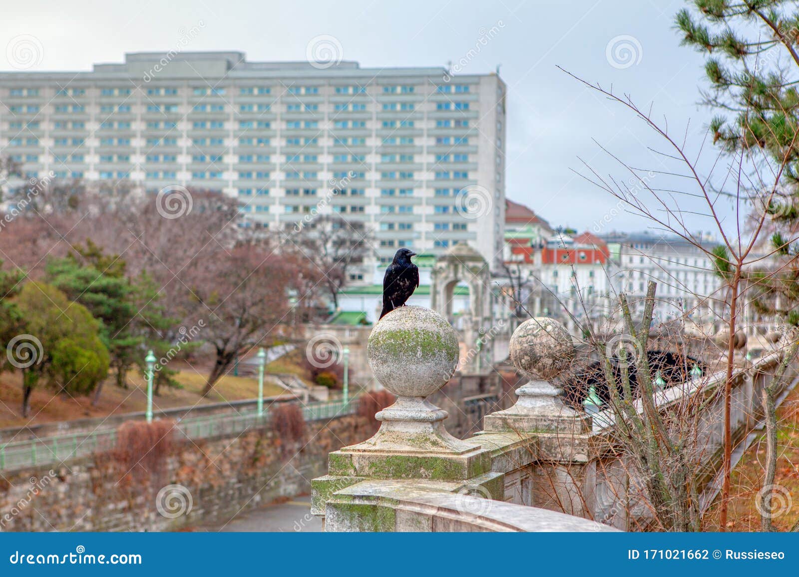 Raven on the Concrete Sphere Stock Photo - Image of natural, public ...