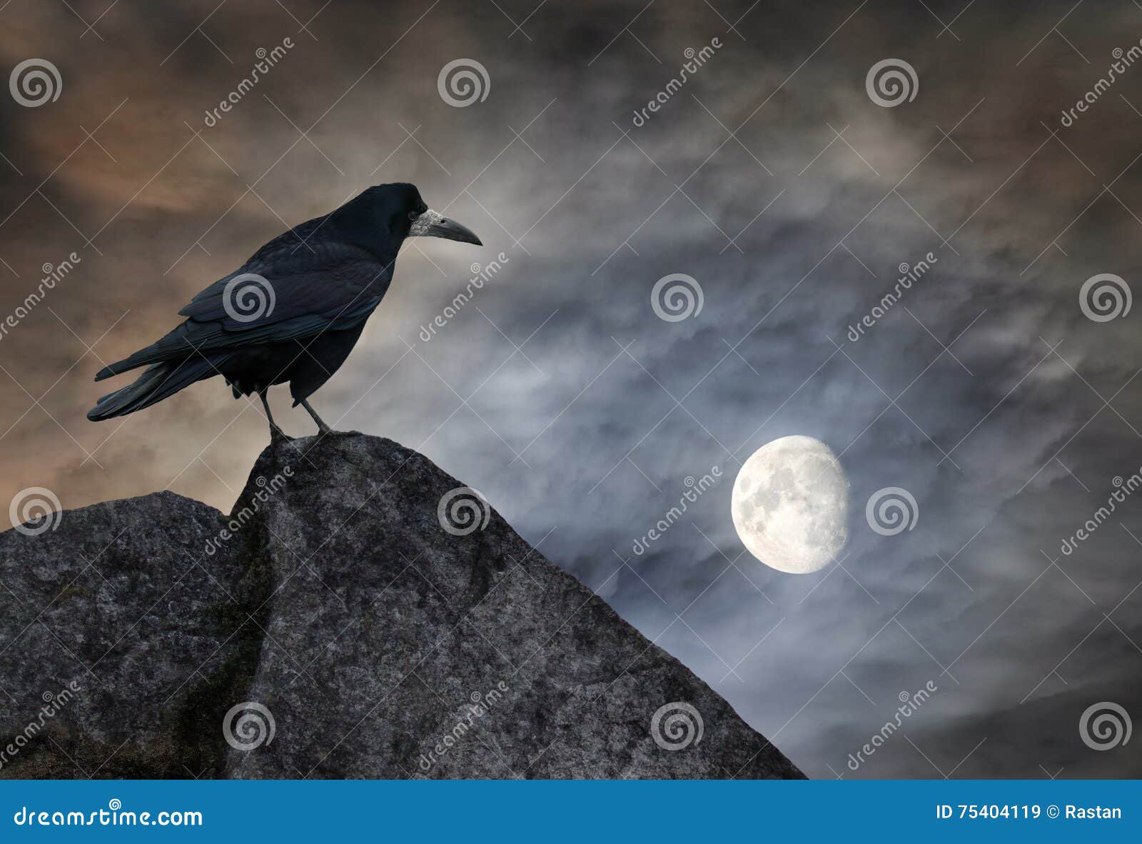 Raven on a stone stock image. Image of gothic, fairy - 75404119