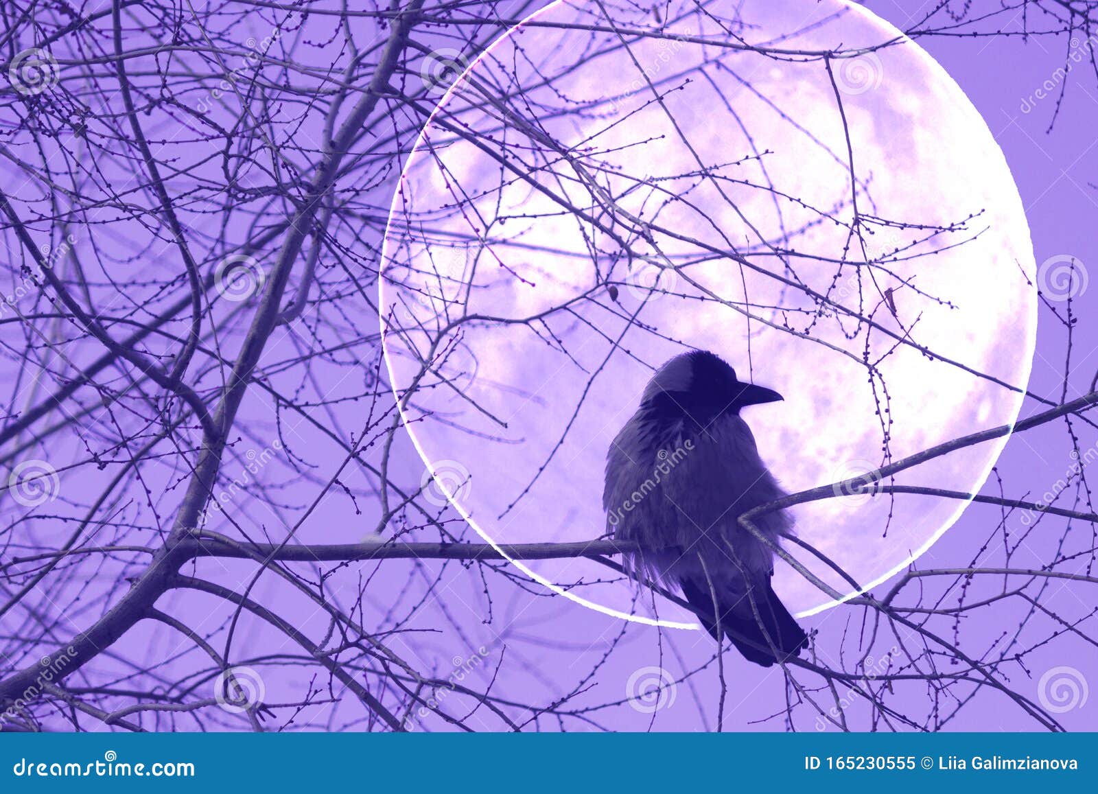 Raven on a tree stock image. Image of moon, bird, scary - 165230555